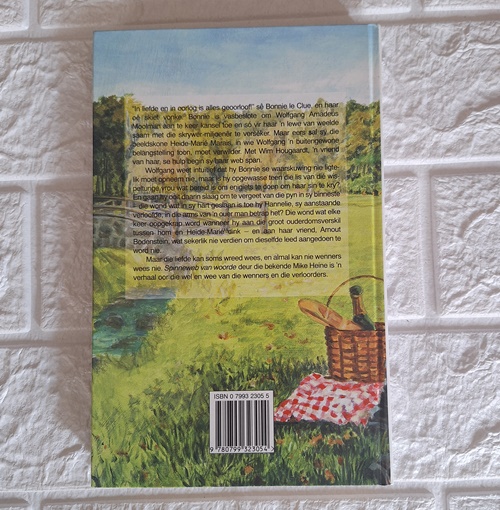 Spinneweb van woorde - Mike Heine - REDDBOX